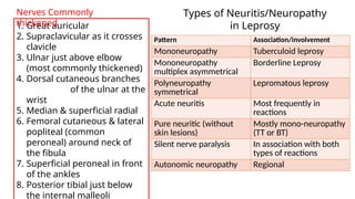 Neuropathology of Hansen - Pathophysiology (1).pptx