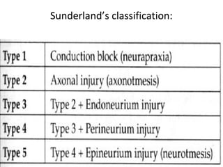 Neuropathy and its classification | PPT