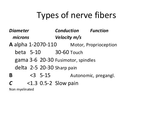 Neuropathy and its classification