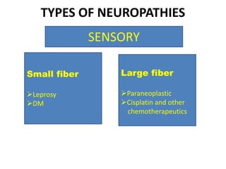 Peripheral Neuropathy final | PPT