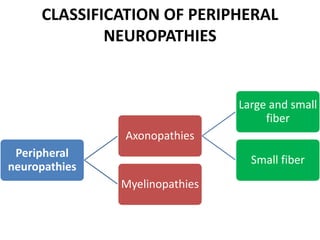 Peripheral Neuropathy final | PPT