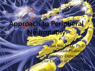 Neuropathy - Dr. Xuan | PPT
