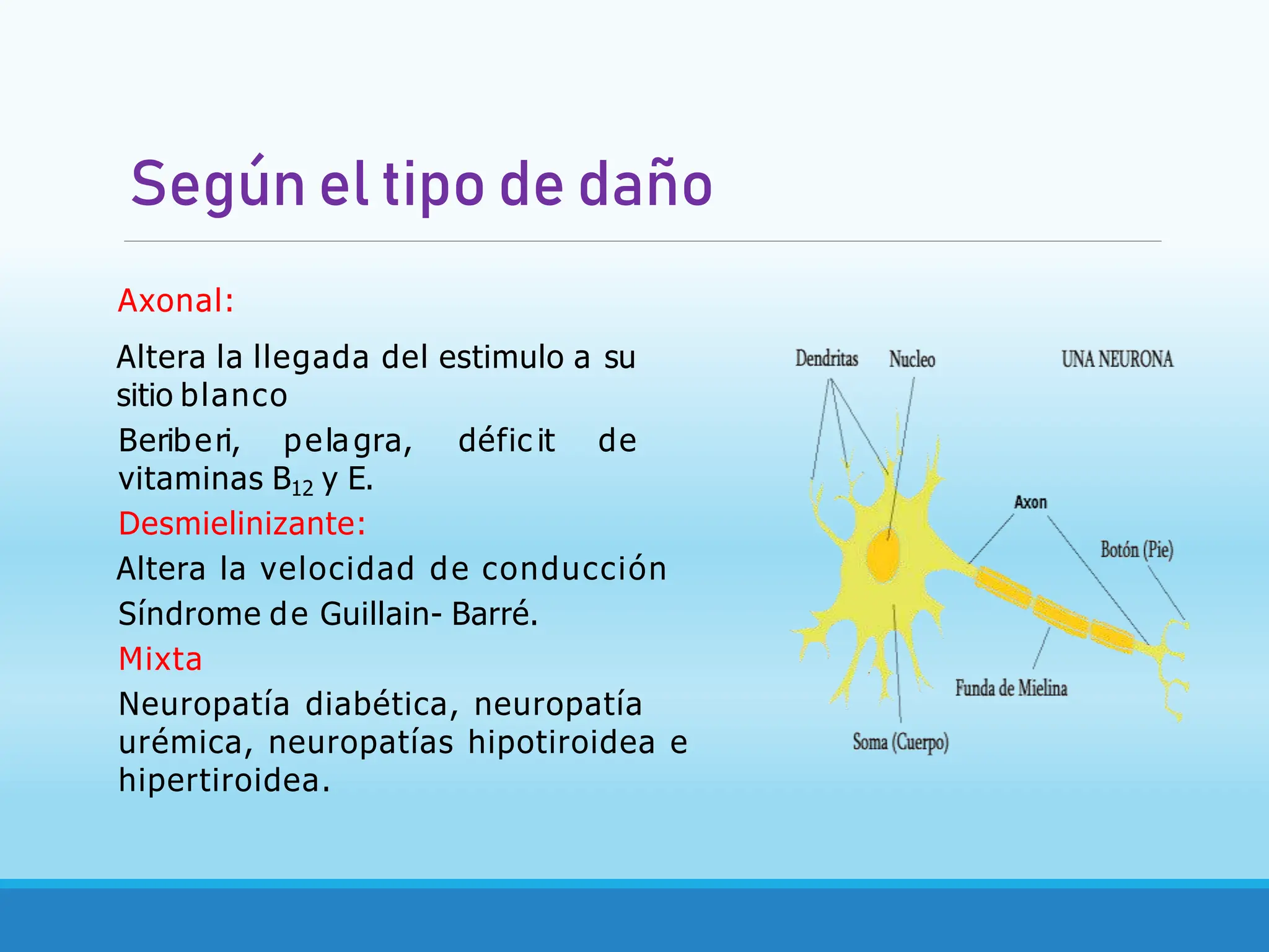 Neuropatias Perifericas, sindrome de Guillain Barre y neuropatia ...