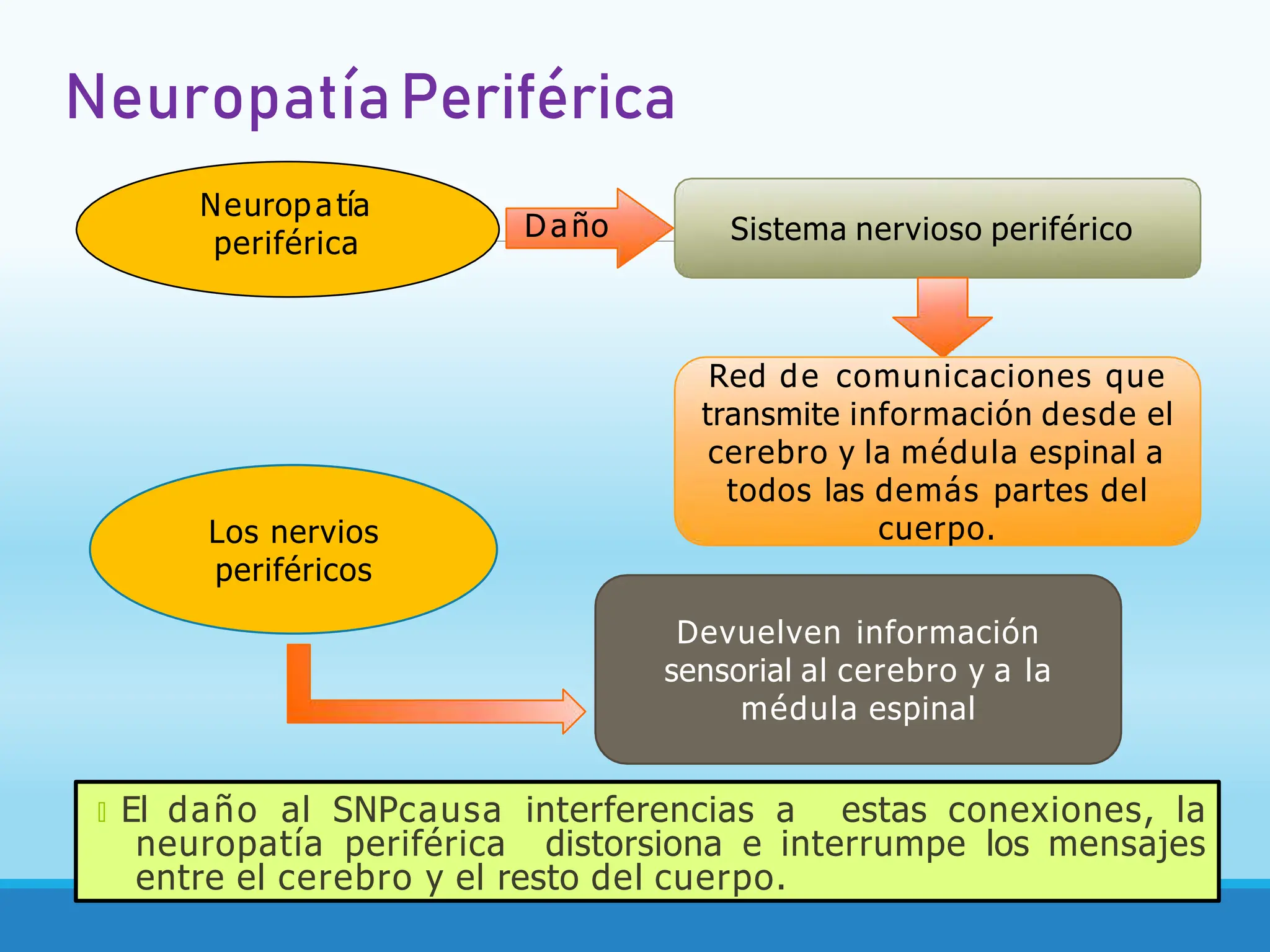 Neuropatias Perifericas, sindrome de Guillain Barre y neuropatia ...