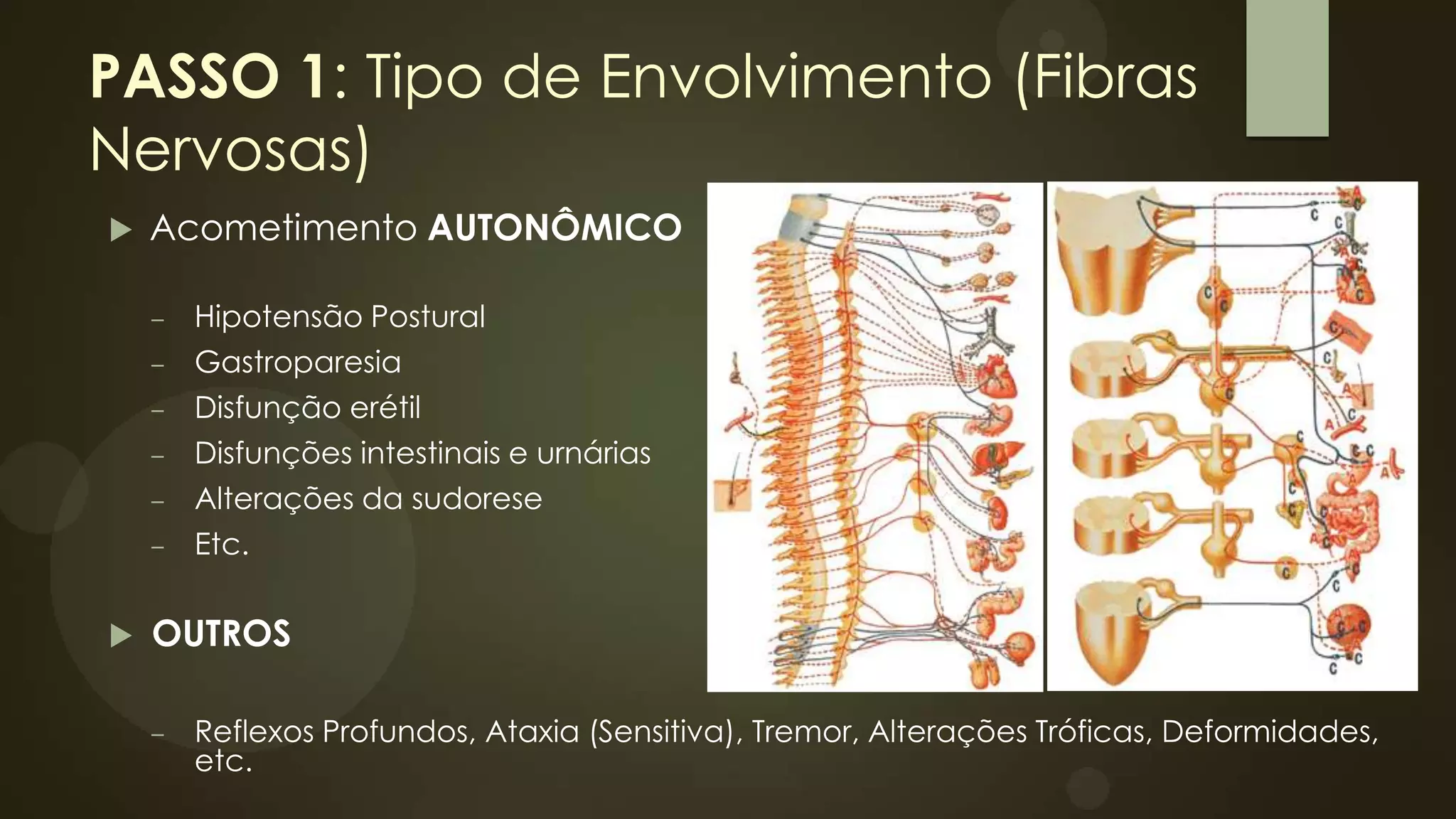 Neuropatias periféricas | PPT
