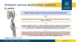 NEUROPATI KOMPRESIF PADA EKSTREMITAS SUPERIOR.pptx
