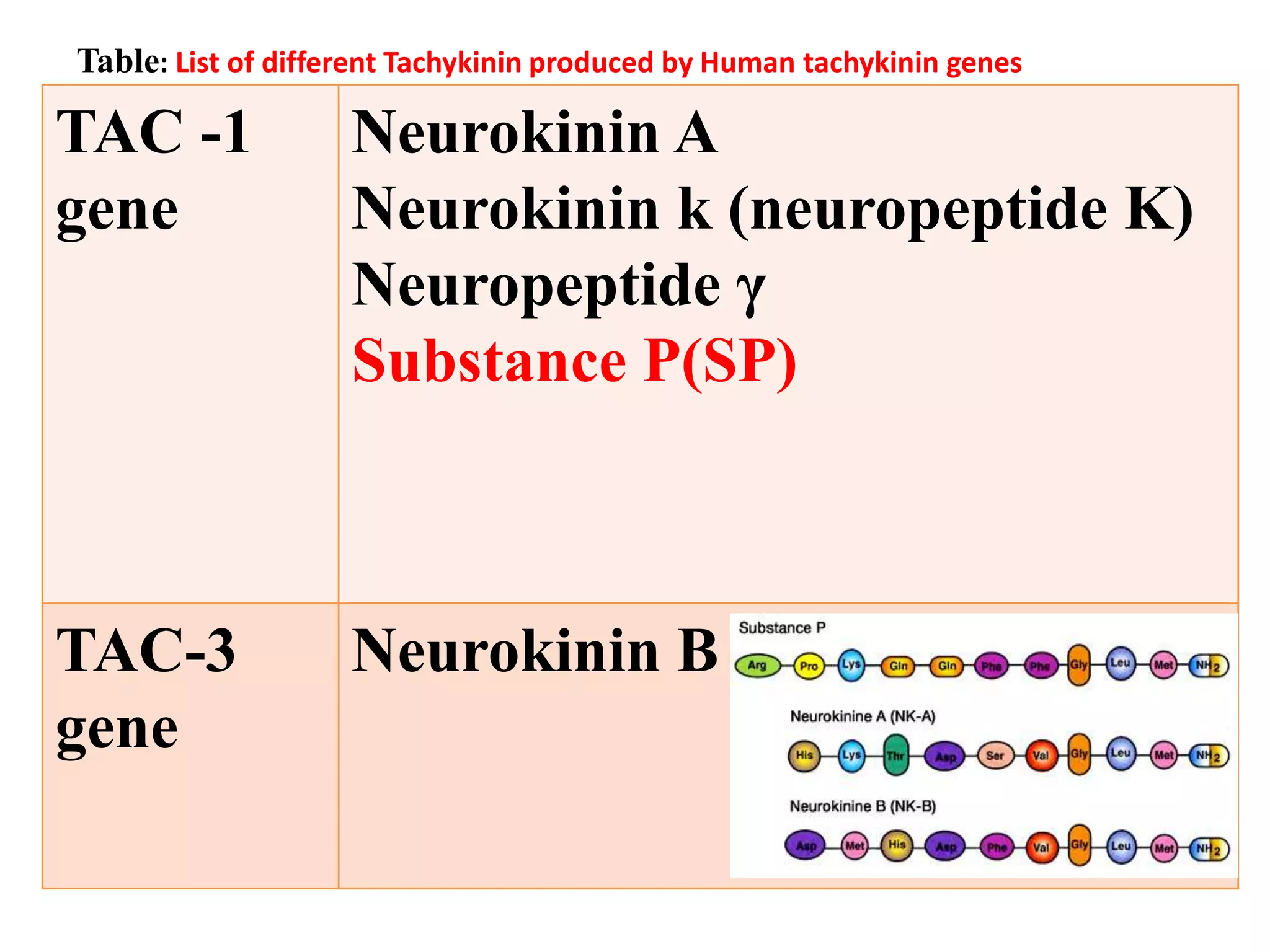 Neuropeptides | PPTX