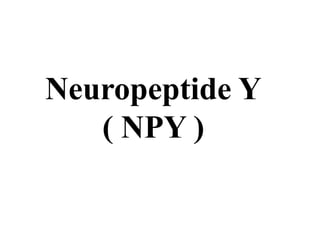 Neuropeptides | PPTX