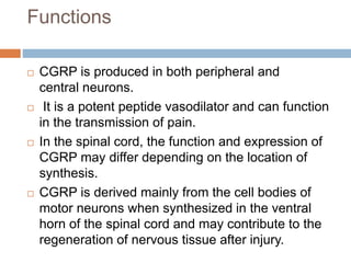 Neuropeptides | PPTX