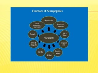 Neuropeptides | PPTX