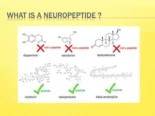 Neuropeptides | PPTX