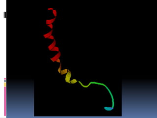 Neuropeptide Y | PPTX | Endocrine and Metabolic Diseases | Diseases and ...