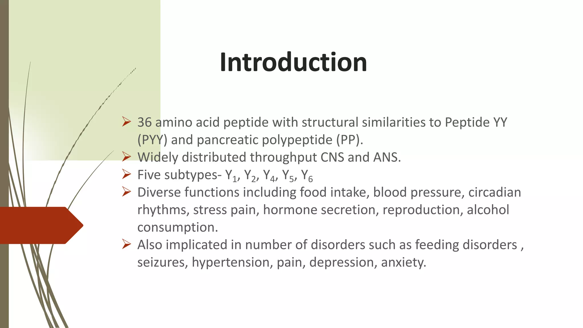 Neuropeptide y | PPT