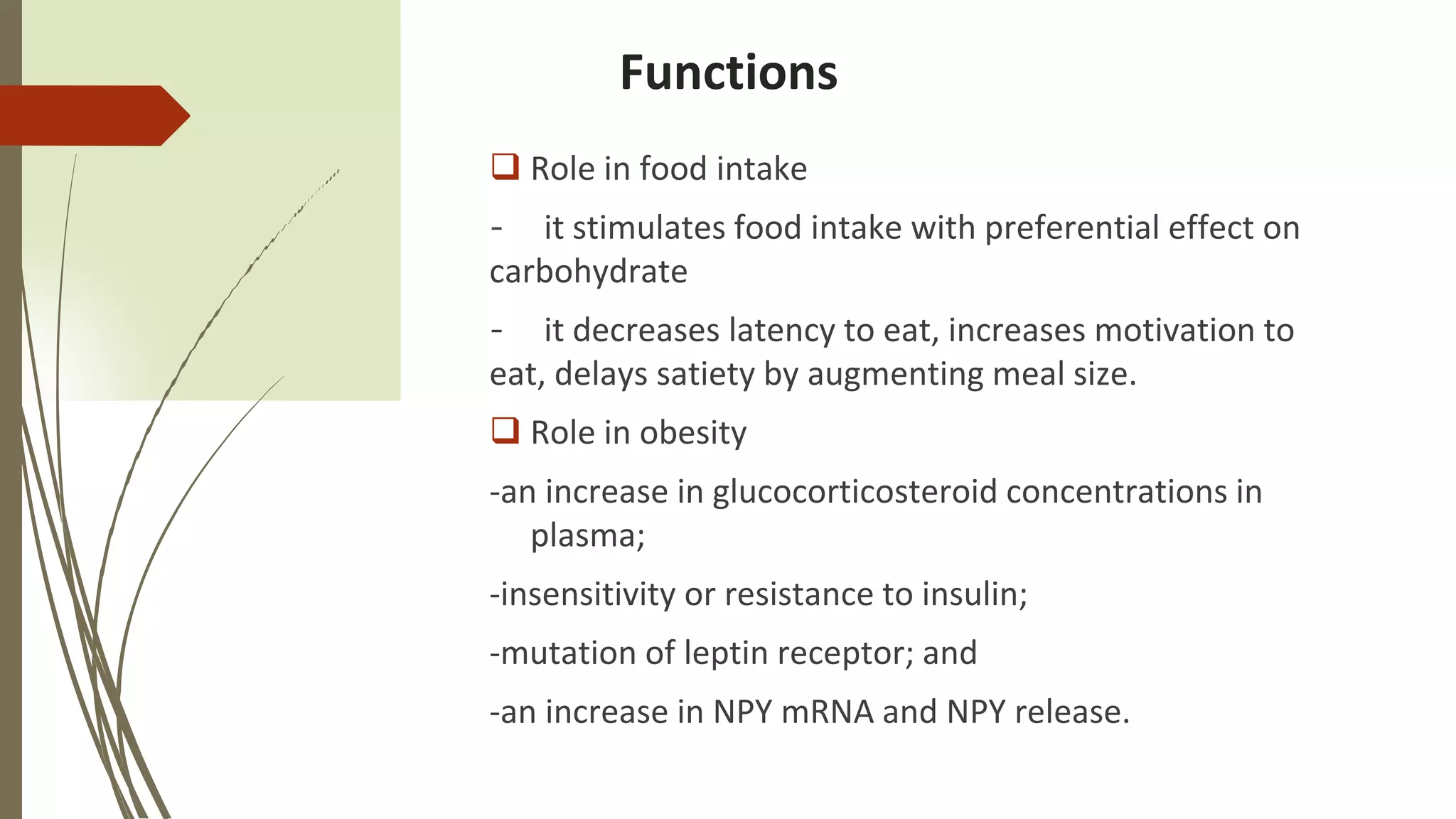 Neuropeptide y | PPT