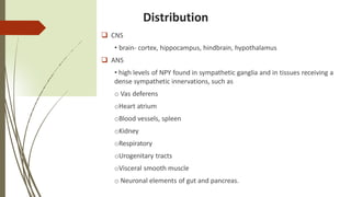 Neuropeptide y | PPT