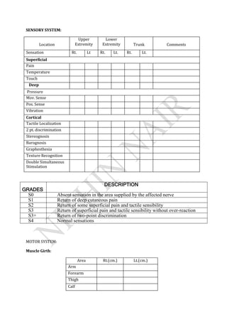 Neuro Proforma | PDF