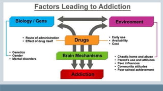 Integrated Behavioral Health: Neuropharmacology of Addiction ...