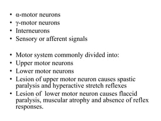 NEUROPHYSIOLOGY OF THE MOTOR SYSTEM-1.ppt