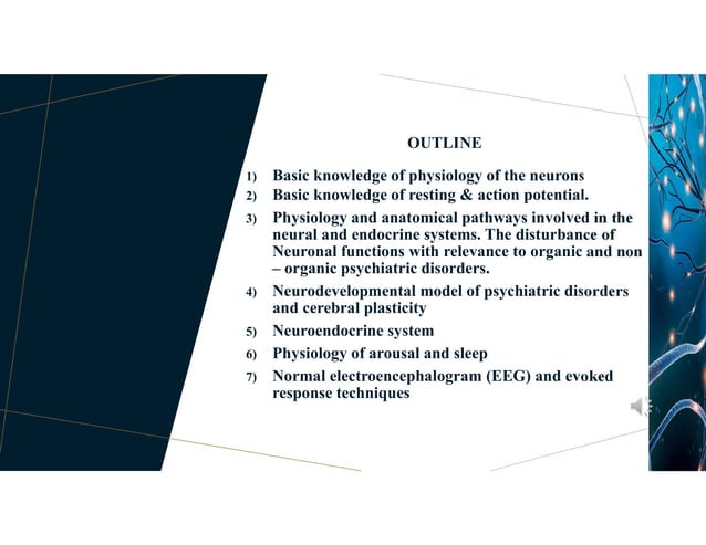 neurophysiology and neuroanatomy humansB | PPT