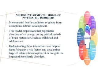 neurophysiology and neuroanatomy humansB | PDF