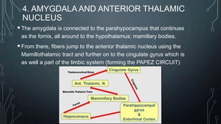 pathological liars (lying theory) | PPTX