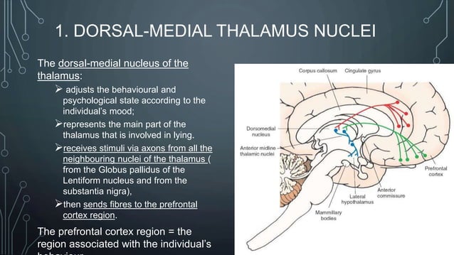 pathological liars (lying theory) | PPTX