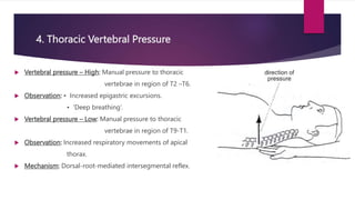 Neurophysiological Falicitation of Respiration.pptx | Lung and ...