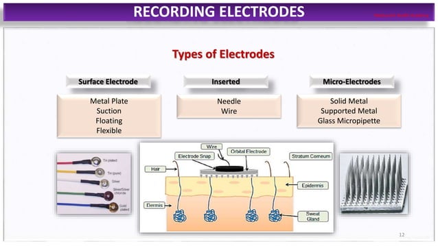 Neurophysiological Signals in IONM part I | PPT