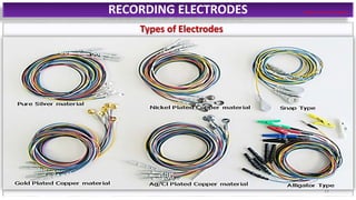 Neurophysiological Signals in IONM part I | PPTX