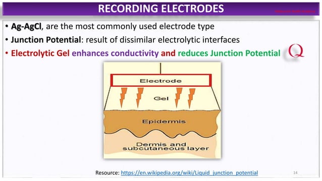 Neurophysiological Signals in IONM part I | PPT