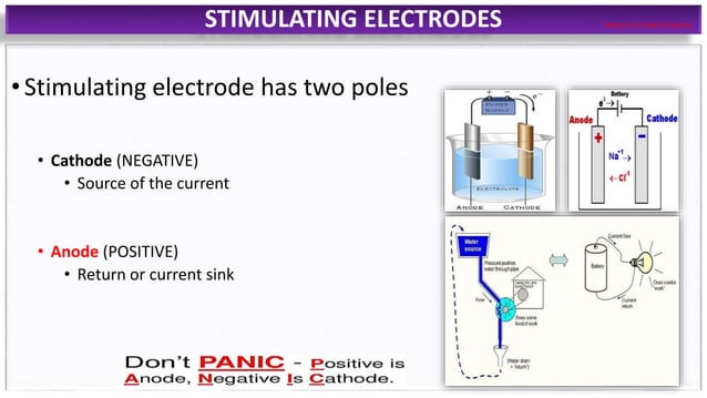 Neurophysiological Signals in IONM part I | PPT
