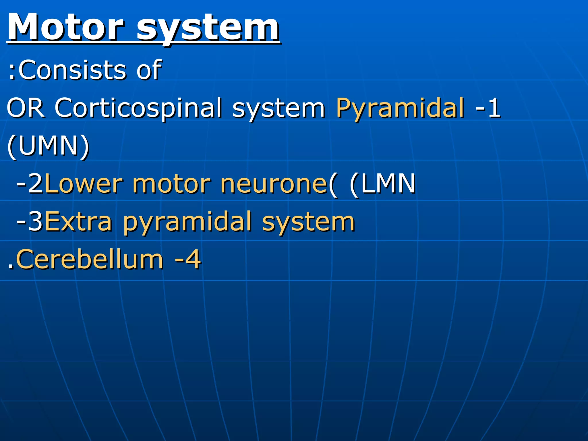 Neurophysiology | PPT