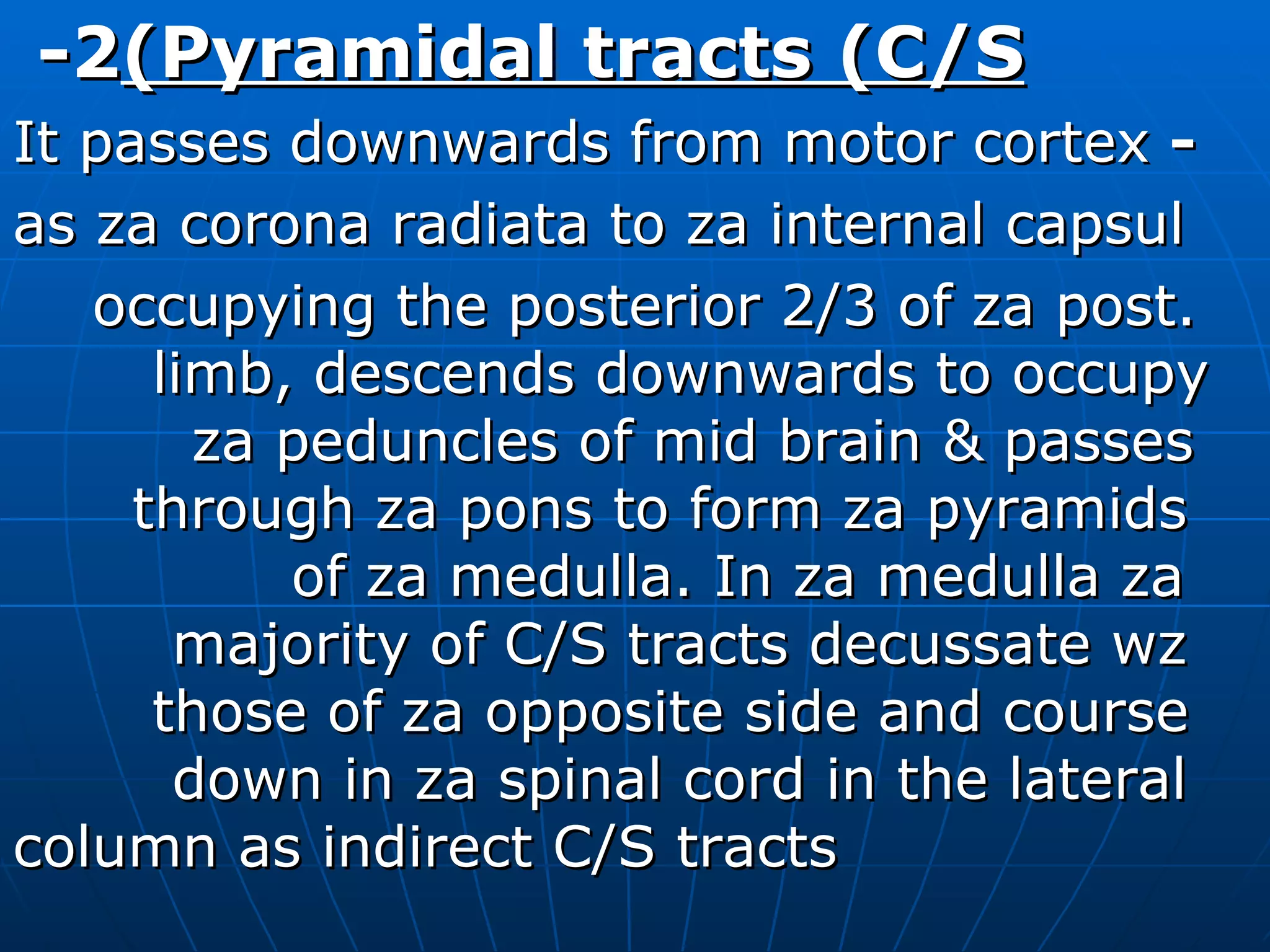 Neurophysiology | PPT