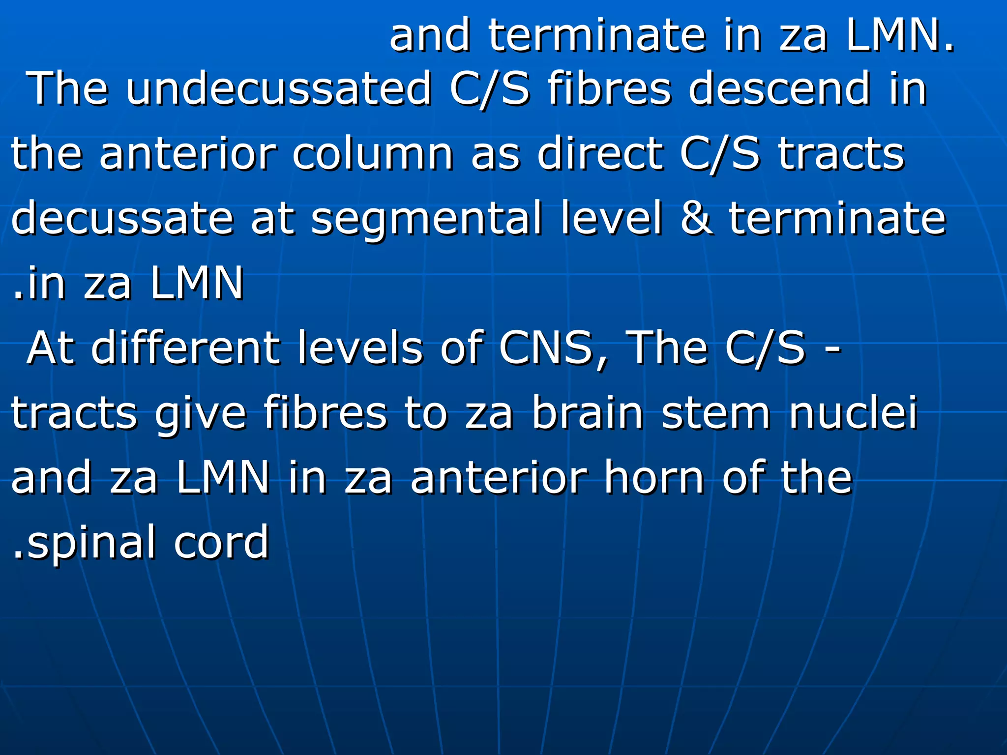 Neurophysiology | PPT