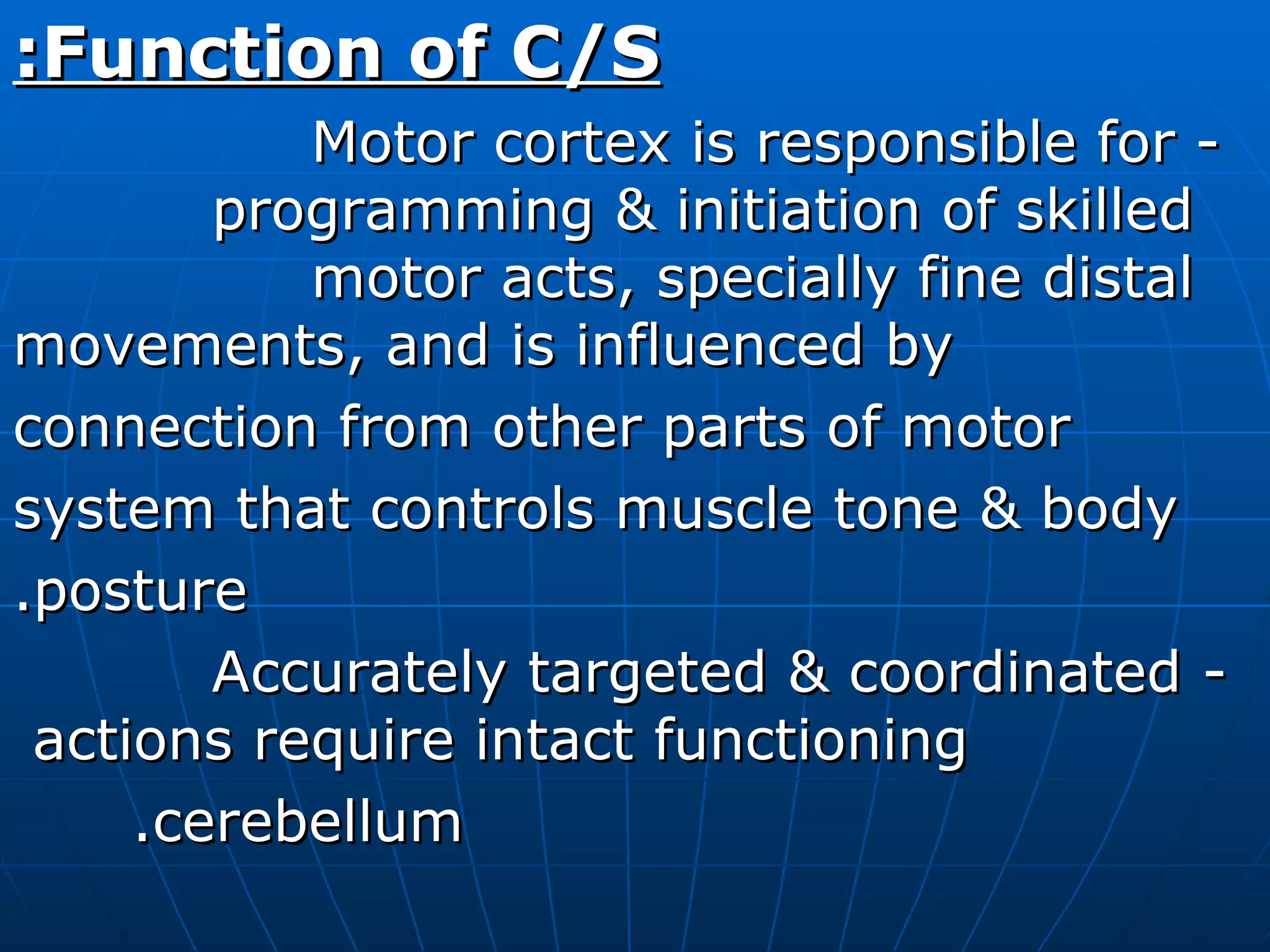 Neurophysiology | PPT