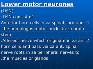 Neurophysiology | PPT