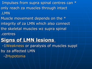 Neurophysiology | PPT