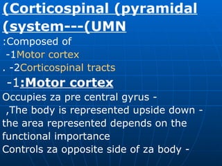 Neurophysiology | PPT