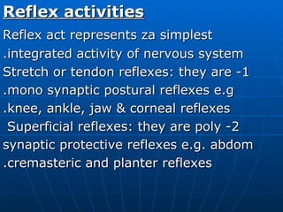 Neurophysiology | PPT