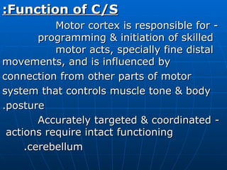 Neurophysiology | PPT