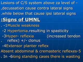 Neurophysiology | PPT