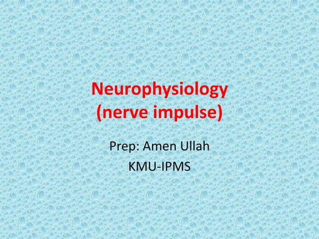 Neurophysiology | PPT