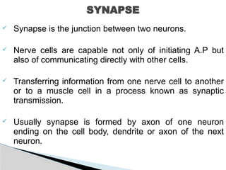 Neurophysiology for level 200 medical student | PPT