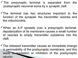 Neurophysiology for level 200 medical student | PPT