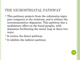 Neurophysiology 6th lecture (Cerebellum&Basal ganglia in motor control ...