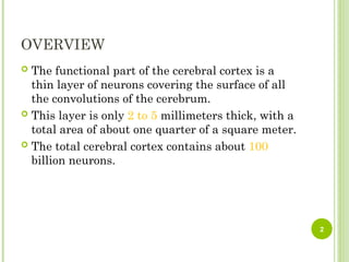 Neurophysiology 7th lecture (physiologic Anatomy of cereberal cortex).ppt