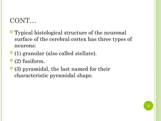 Neurophysiology 7th lecture (physiologic Anatomy of cereberal cortex).ppt