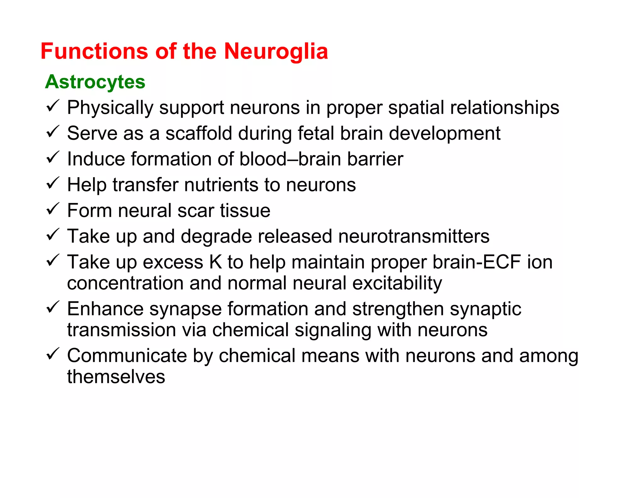 Neurophysiology complete note (hphy 305) 2 | PDF