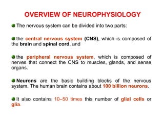 Neurophysiology complete note (hphy 305) 2 | PDF