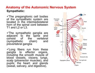 Neurophysiology complete note (hphy 305) 2 | PDF